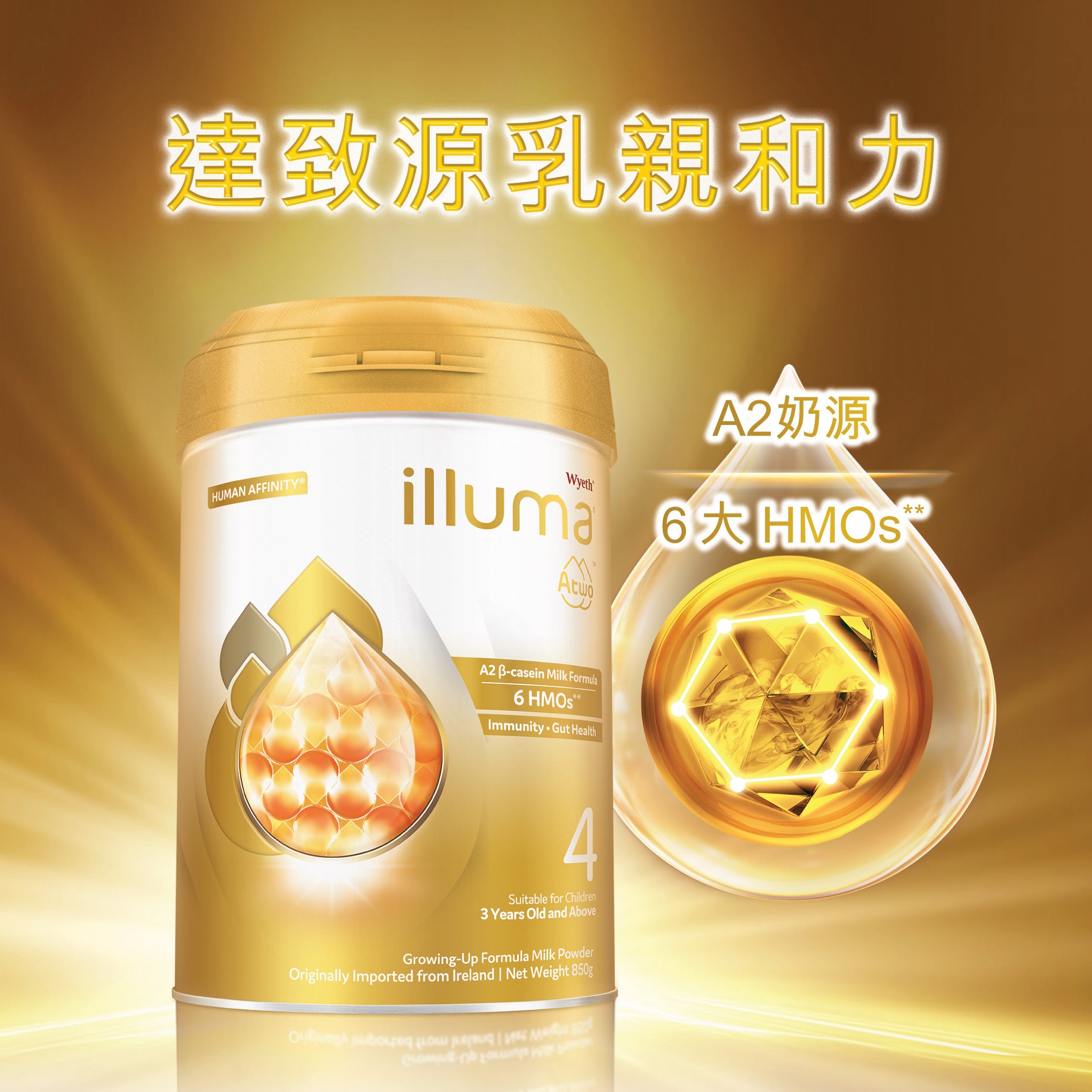 親和人體®產品系列 | Illumama Community